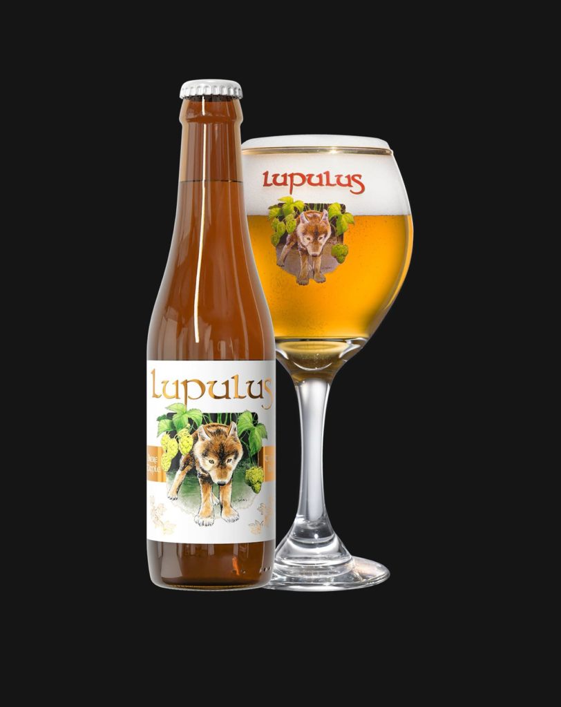 Bières Lupulus - Toutes les bières disponibles