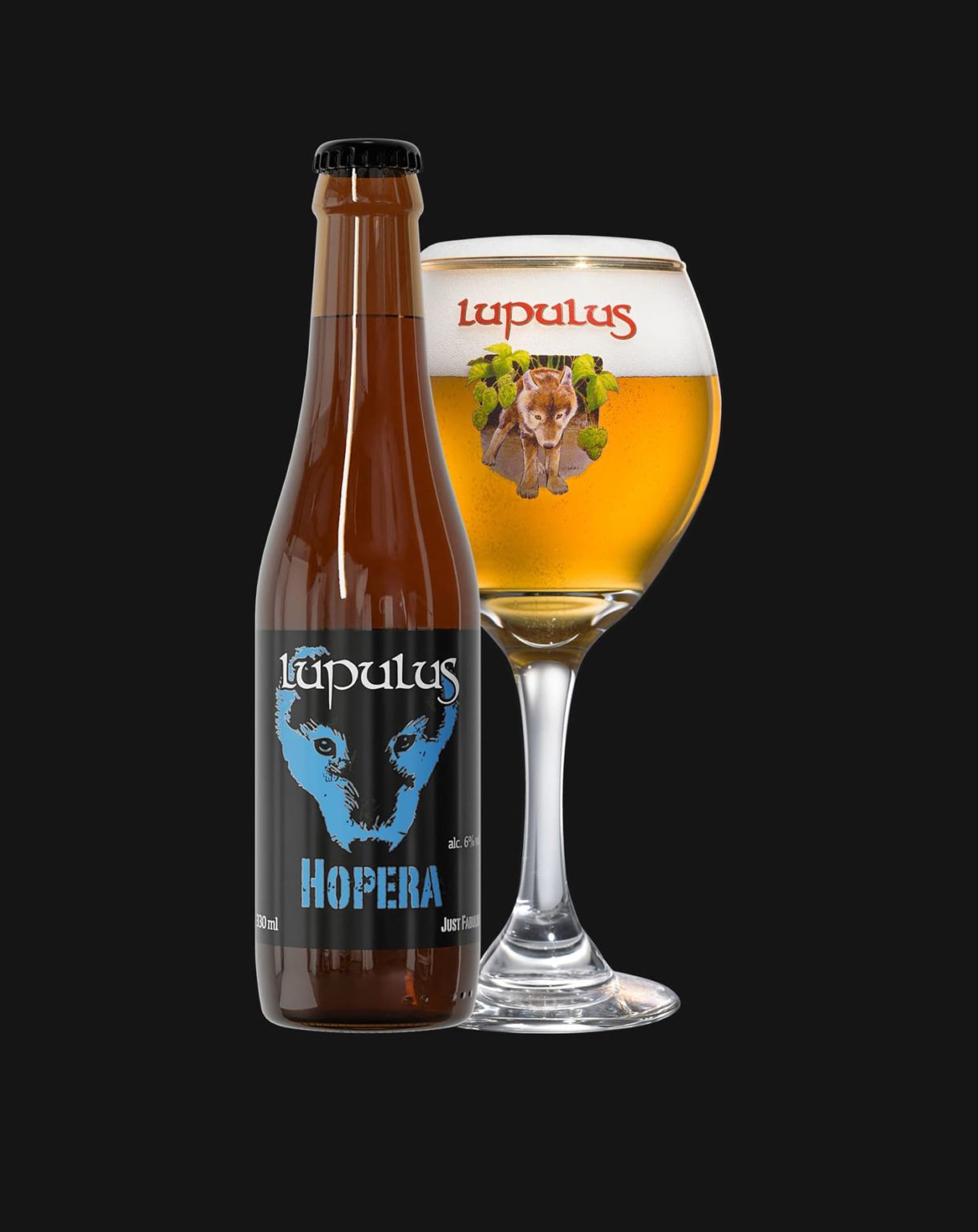 Bières Lupulus - Toutes les bières disponibles